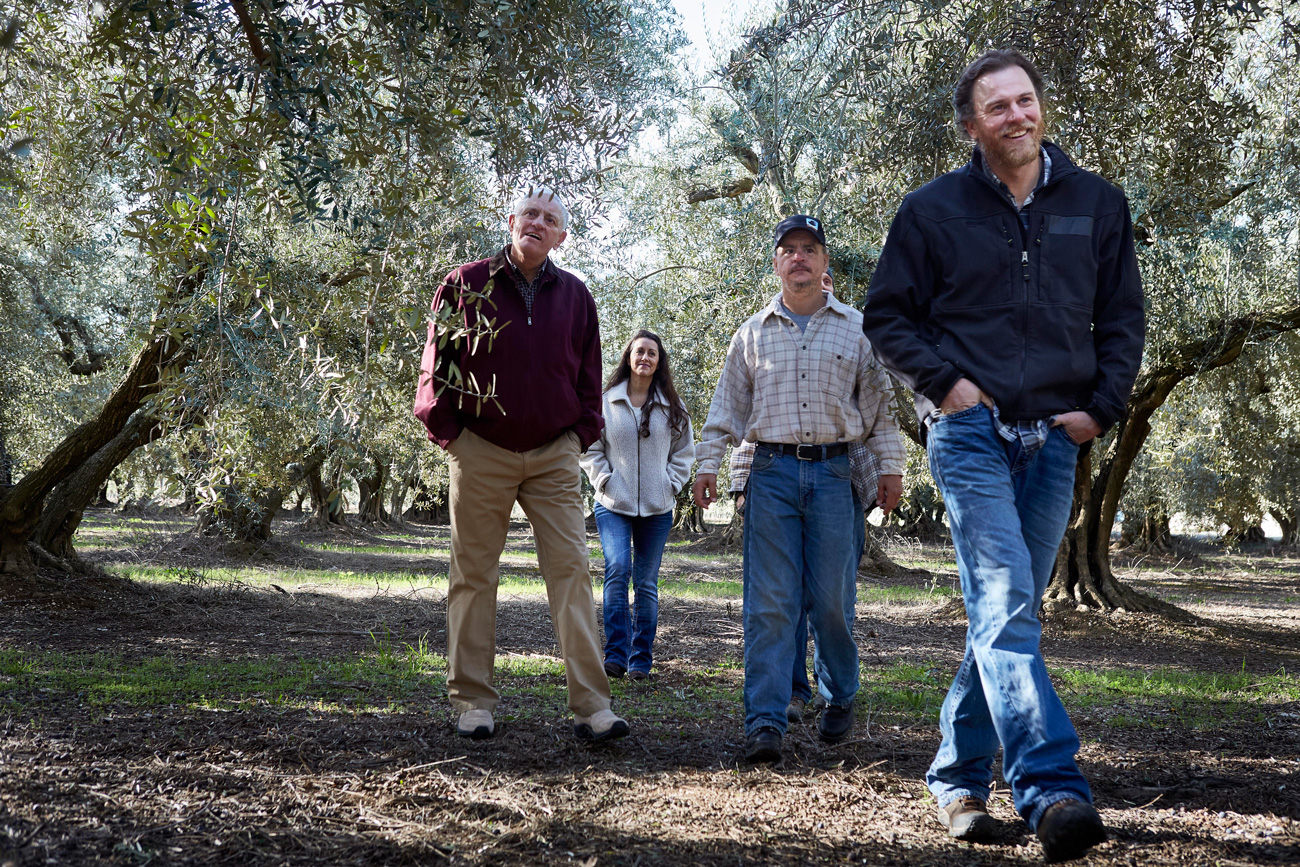 How We Grow - California Ripe Olives